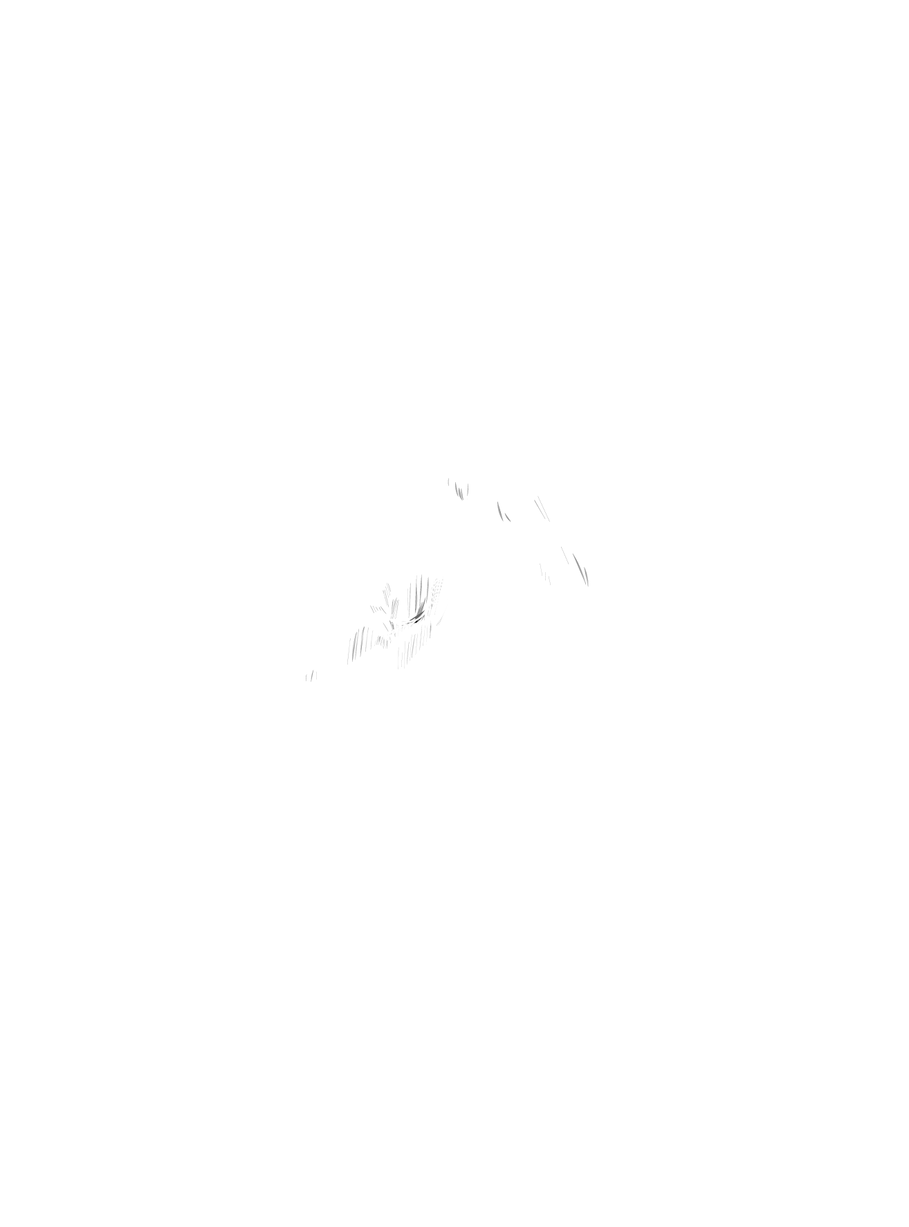 Northern Rivers Hemp Cooperative - Full Spectrum Australian Hemp Oil ...