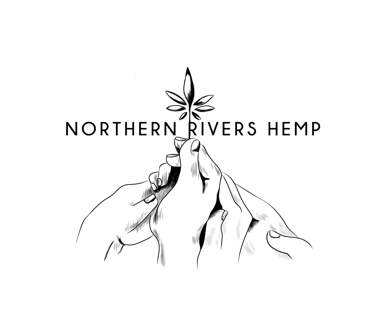 Northern Rivers Hemp Cooperative - Full Spectrum Australian Hemp Oil ...