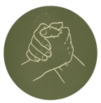 Northern Rivers Hemp Cooperative - Full Spectrum Australian Hemp Oil ...